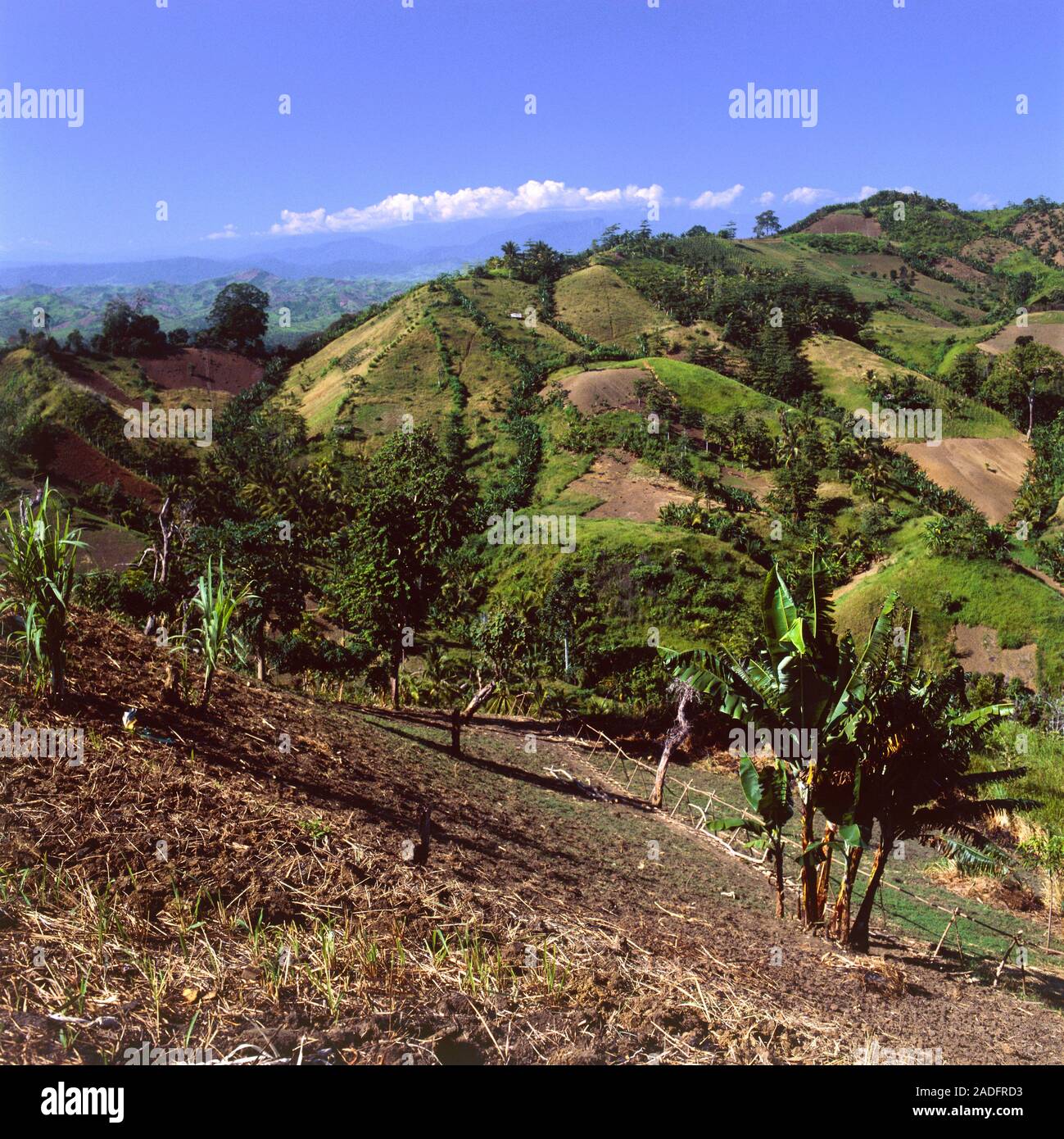 Deforestation. Rugged hill terrain, semi-wooded, deforested for farming ...