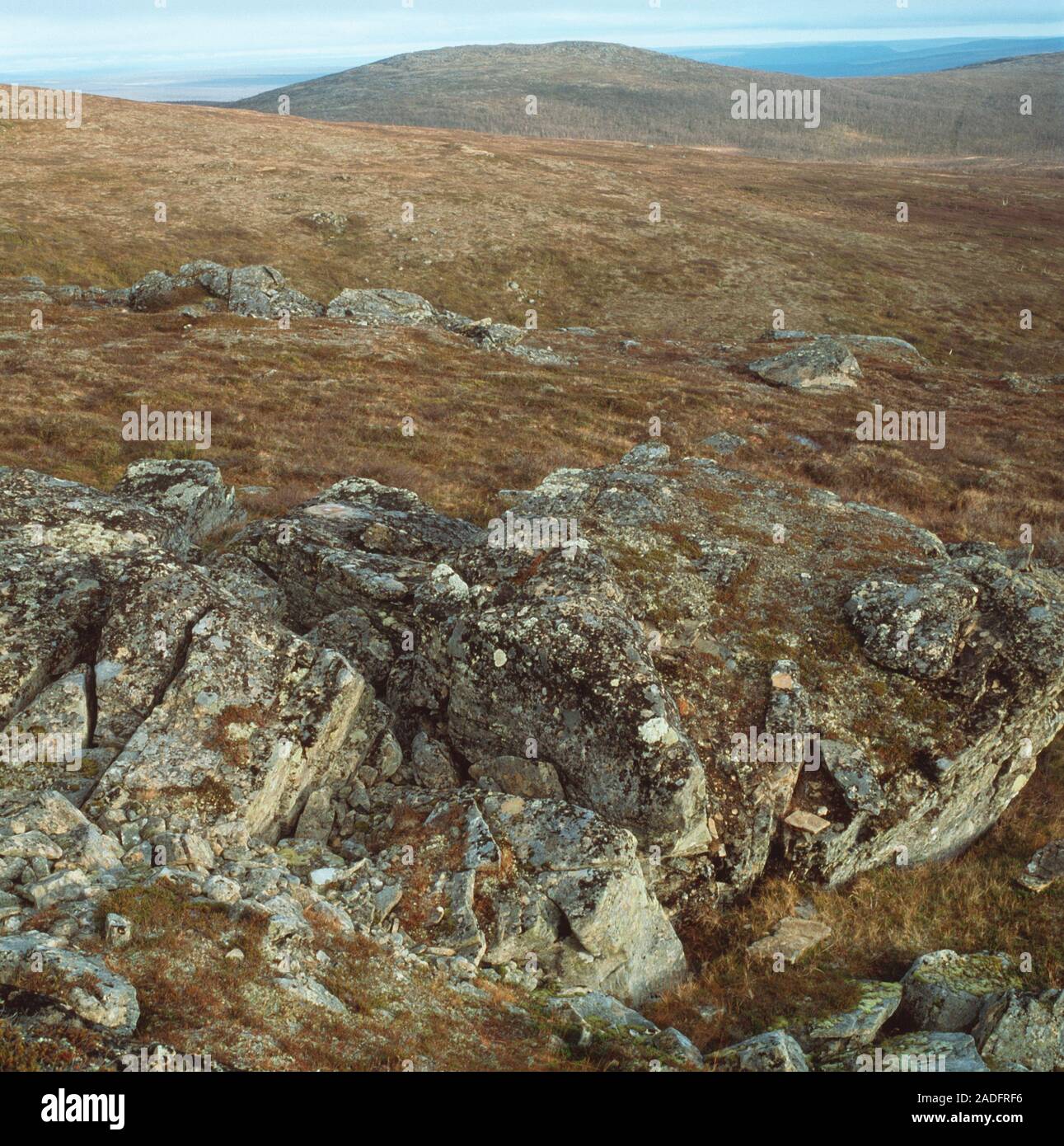 Tundra mountain. Ailigas mountain in the tundra of Finnish Lapland ...