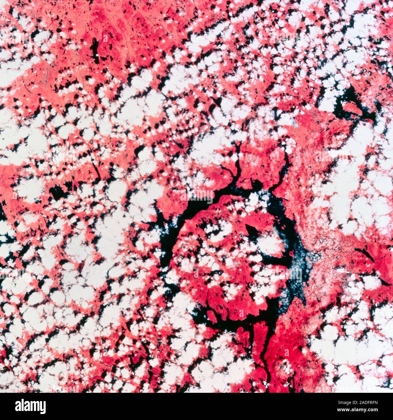 Infrared space photograph of the giant Manicouagan meteorite crater in ...