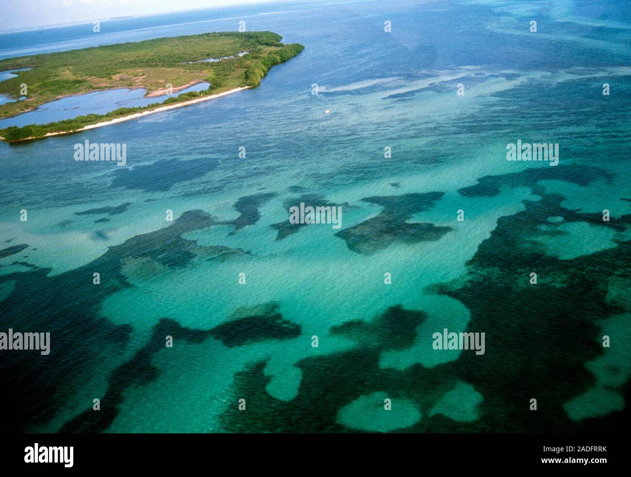 Florida Keys. Aerial shot of coral reefs at Key West, Florida Keys, USA ...