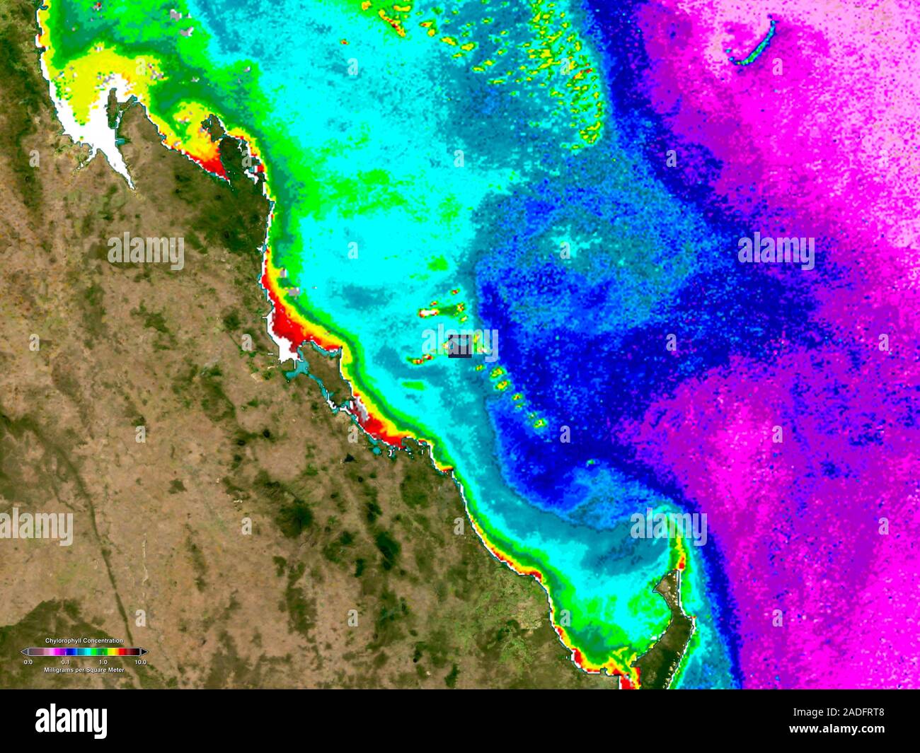 Coral bleaching, Great Barrier Reef, Australia, satellite image. Colours show chlorophyll ...