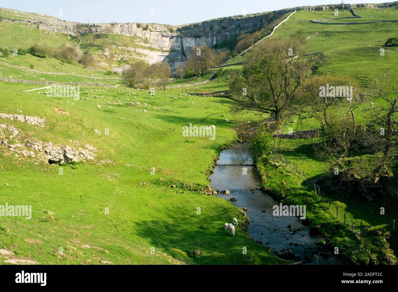 Malham Cove, Yorkshire Dales National Park, England. This curving ...