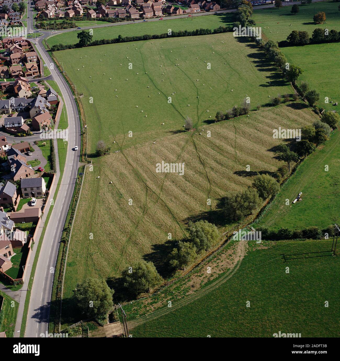 Ridge and furrow remains. Aerial photograph of a pasture field. The ...