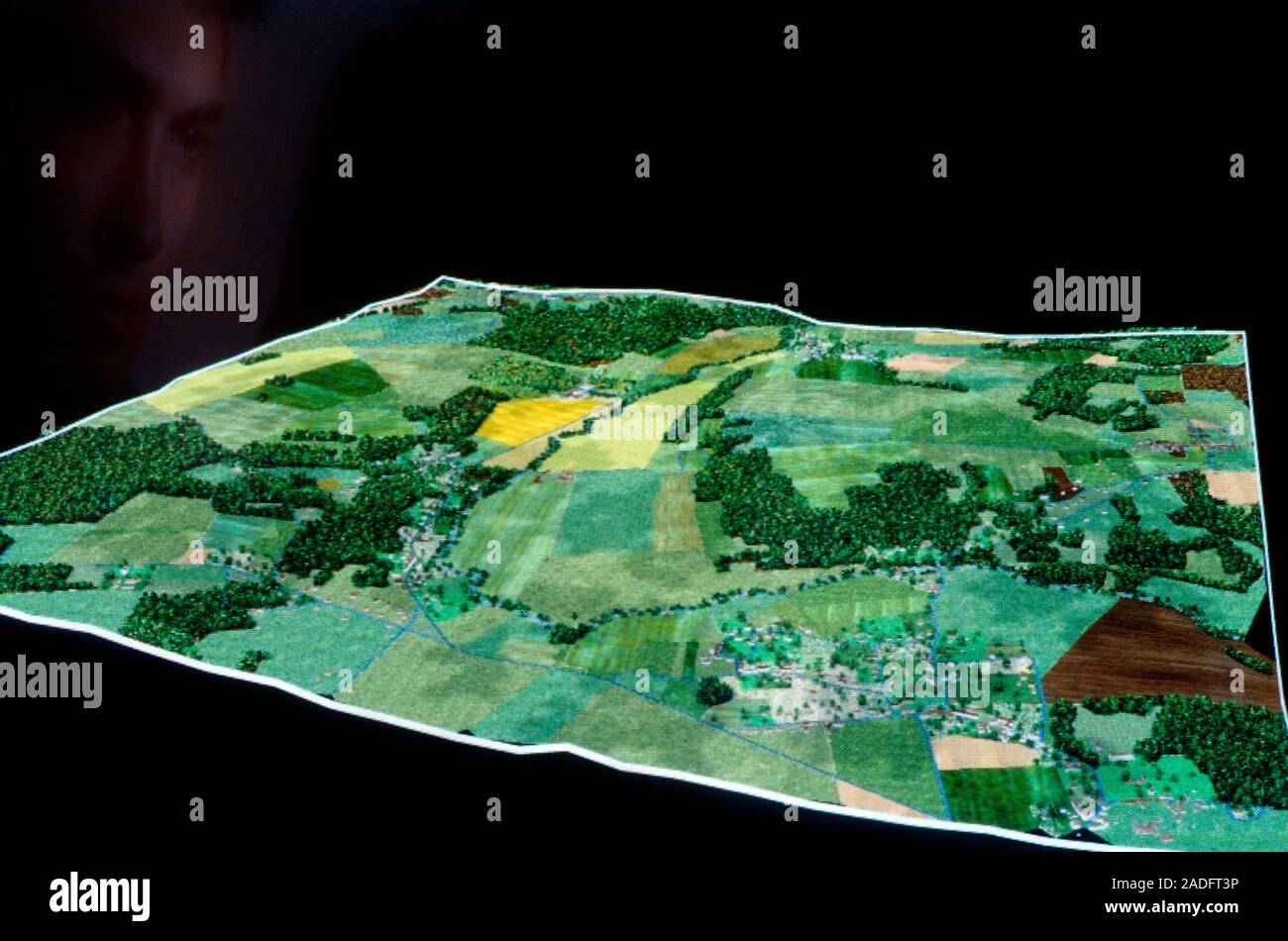 Landscape simulation. Computer model of a rural landscape, generated ...