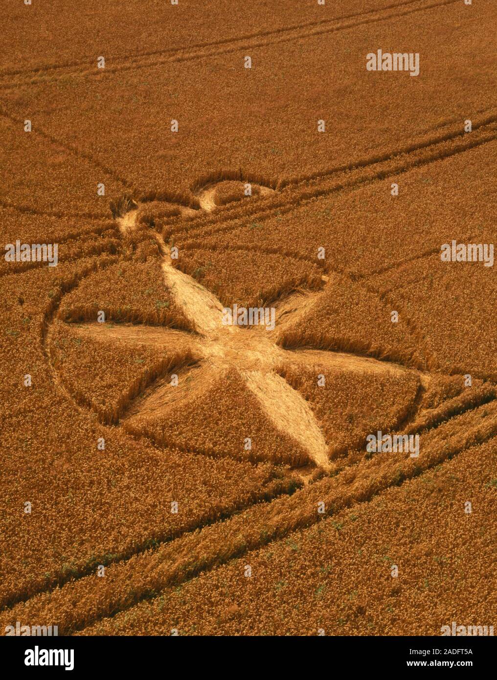 Aerial view of a crop formation at Cheesefoot, Hampshire, England. Crop ...