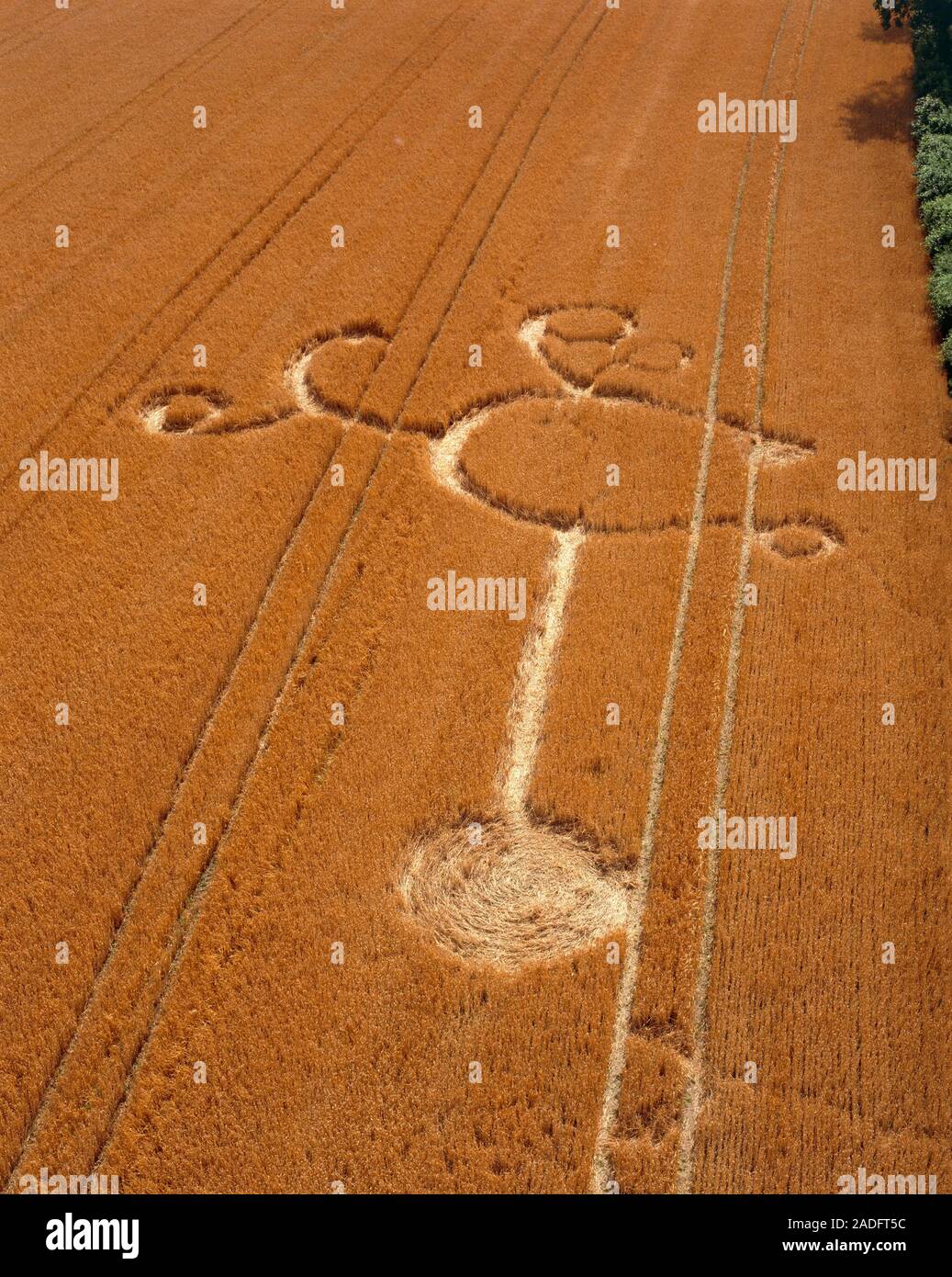 Aerial view of a crop formation at Cheesefoot, Hampshire, England. Crop ...