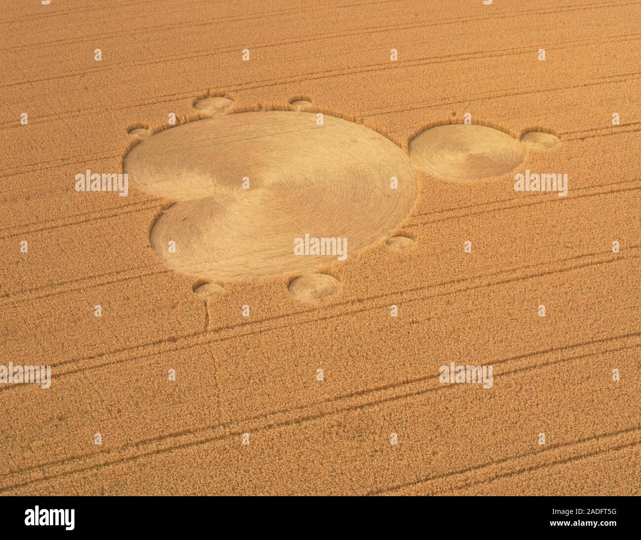 Crop circle in the shape of the Mandelbrot Set, a famous fractal Stock ...