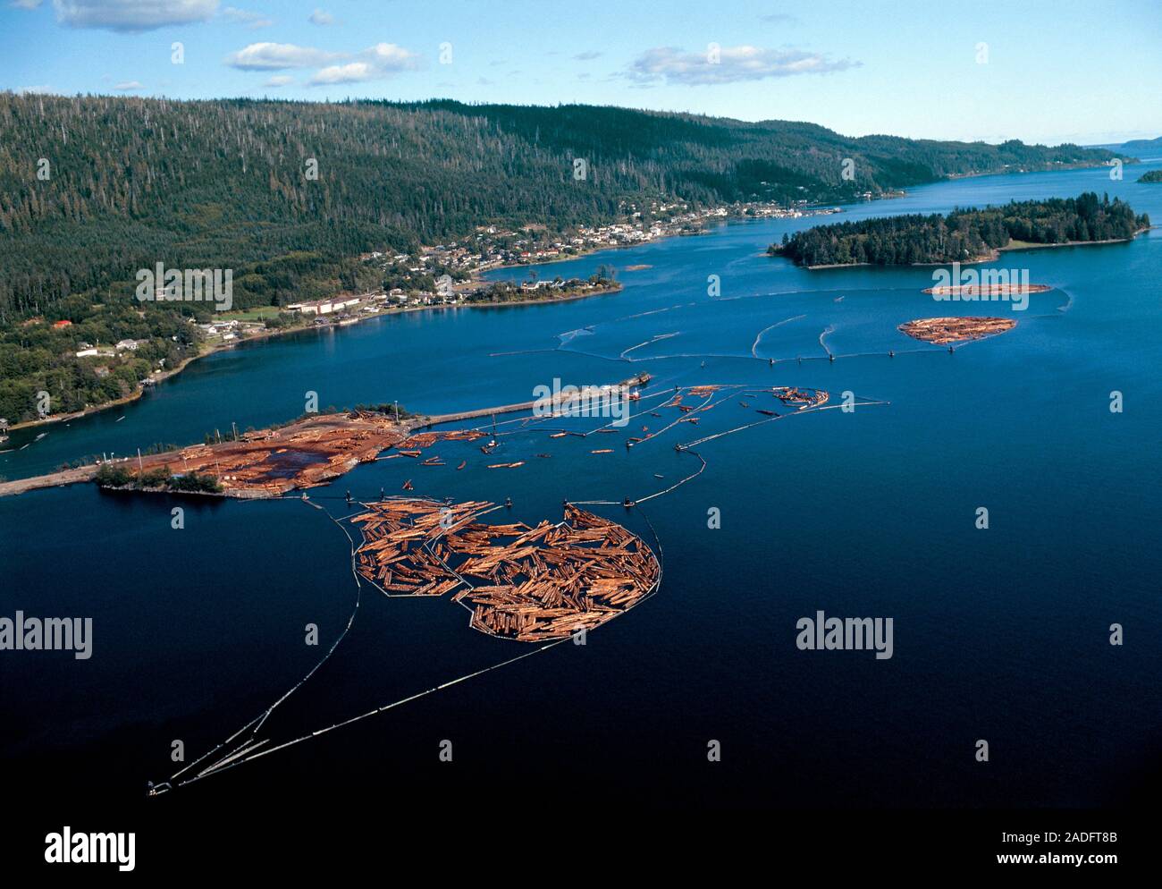 Timber industry. Aerial view of floating tree logs in storage areas ...