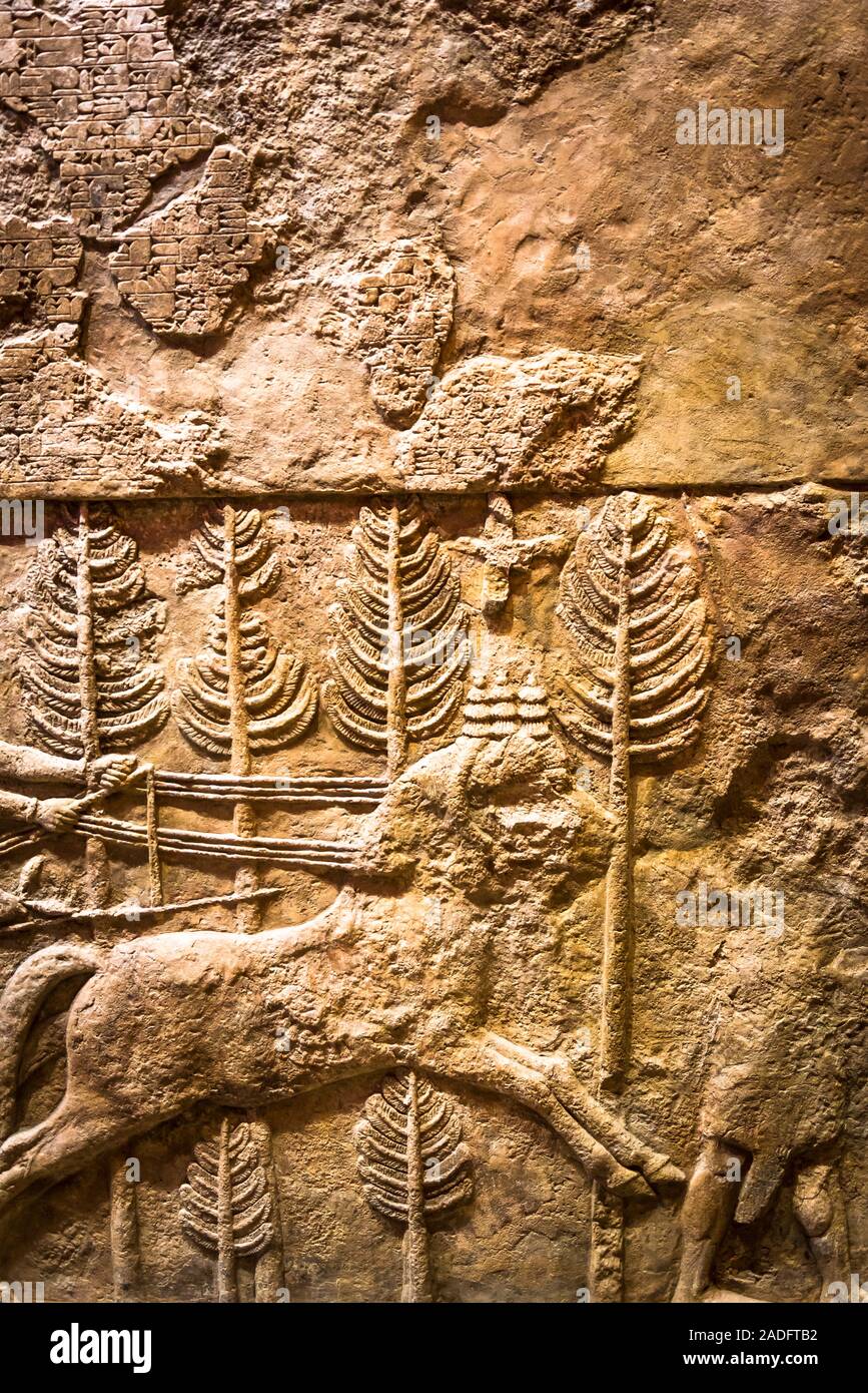 Ancient Assyrian relief sculpture, University of Chicago Oriental ...
