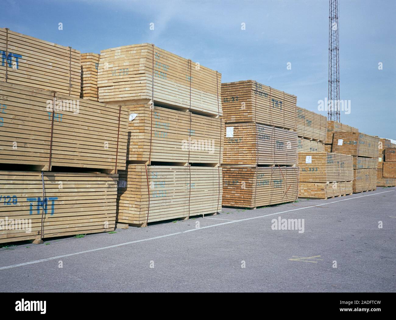 Imported timber from Russia at the Avonmouth Docks in the port of ...