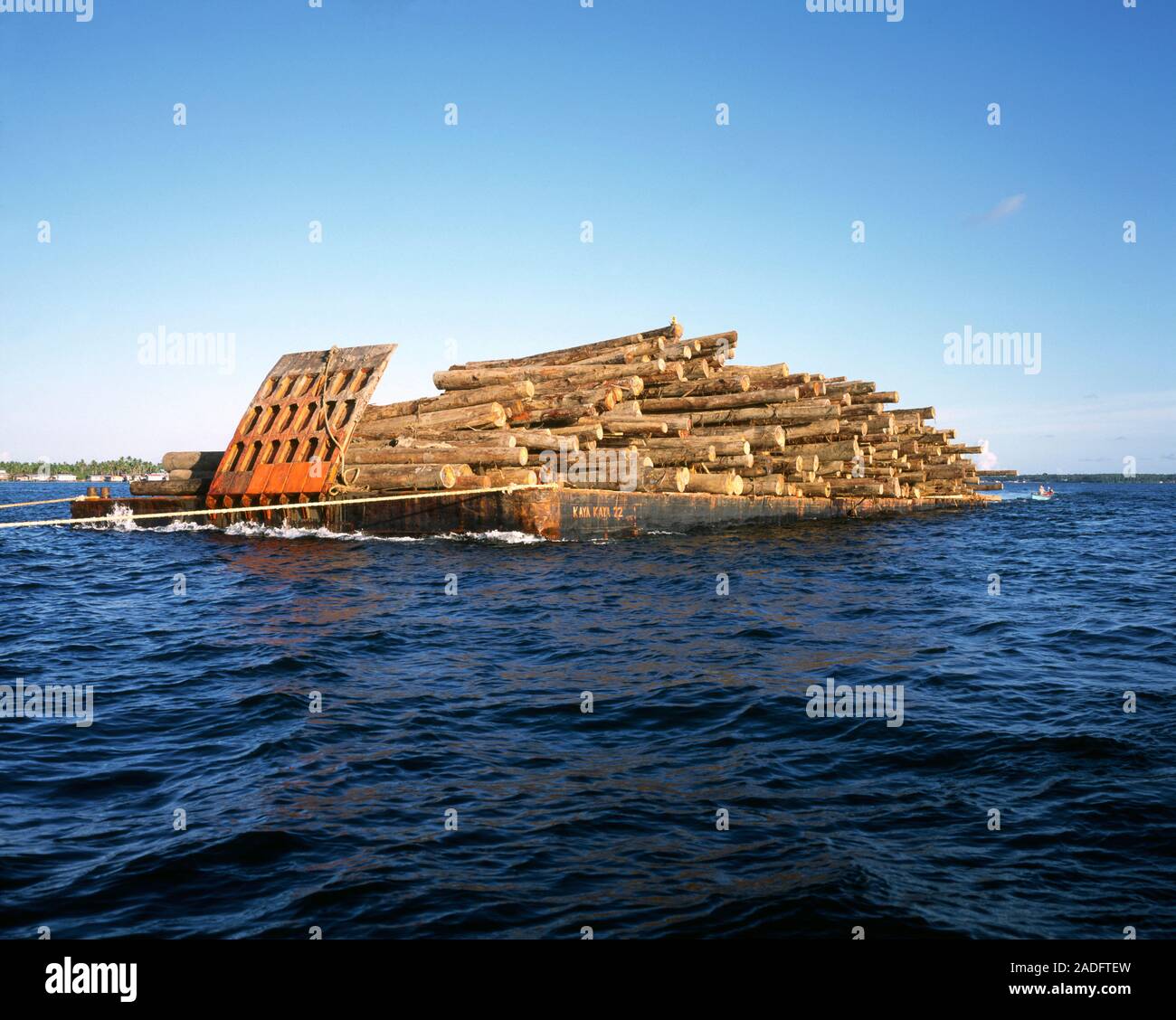 Barge laden with timber. This wood has been cut from a Malaysian ...