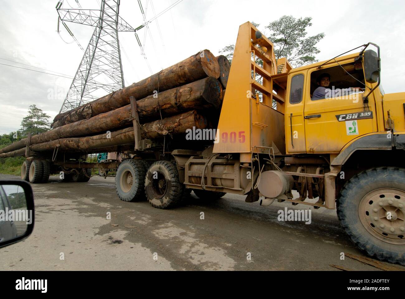 Truck laden with timber. Photographed in the Danum Valley, Sabah ...