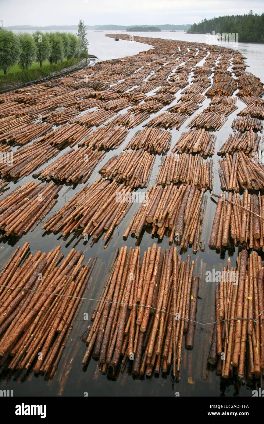 Timber floating on a river. Photographed in Savonlinna, Finland Stock ...