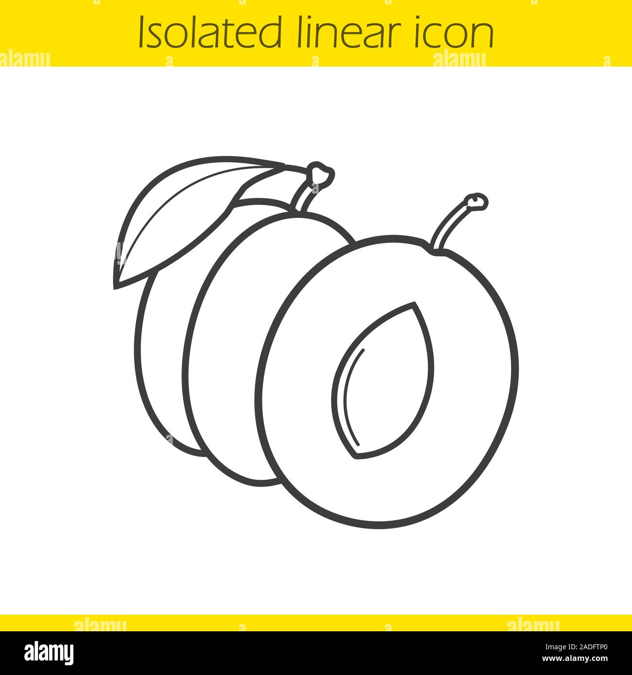 Plum linear icon. Thin line illustration. Contour symbol. Vector ...