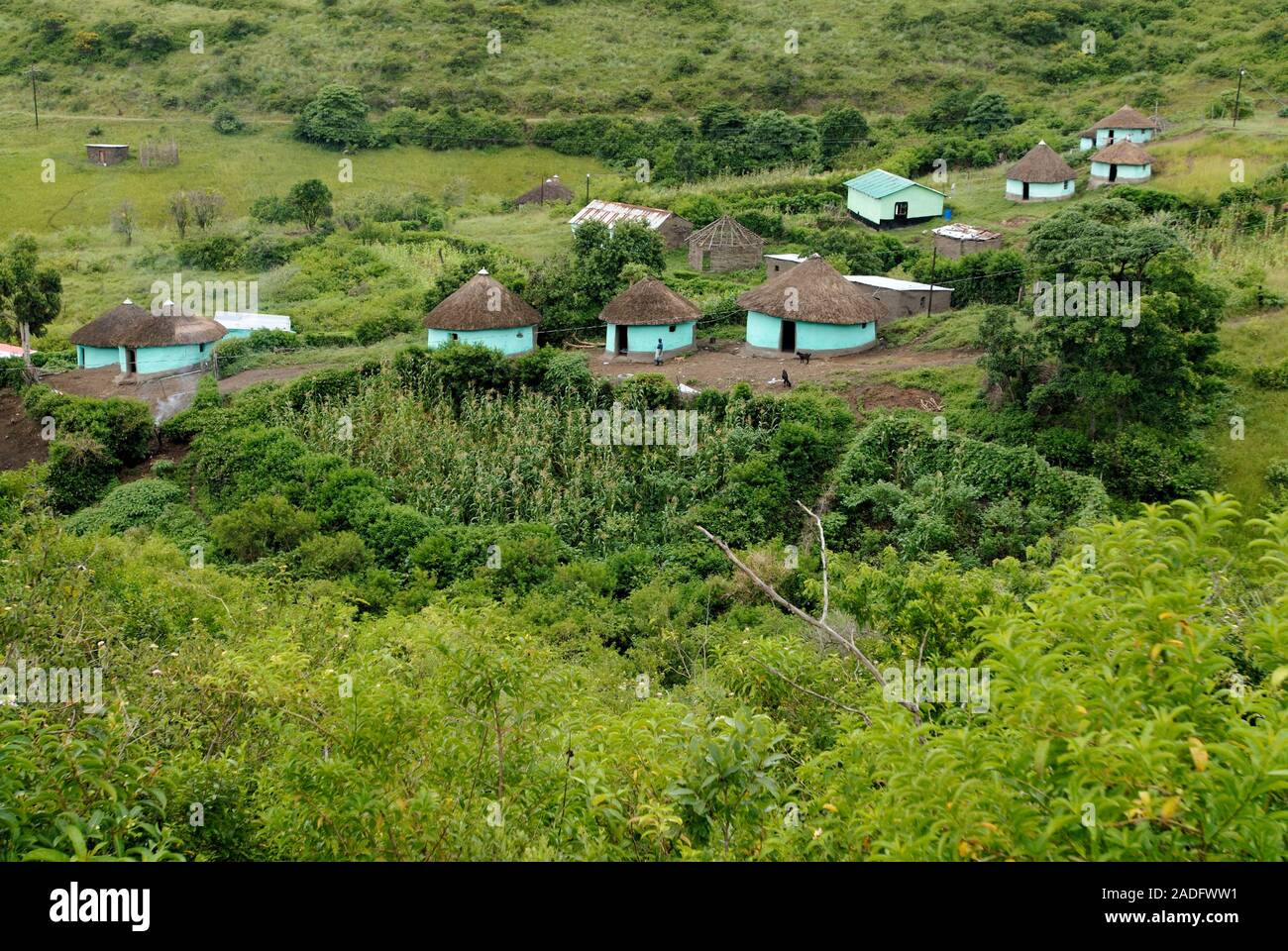 Xhosa farmstead with buildings and fields. The Xhosa are one of the ...