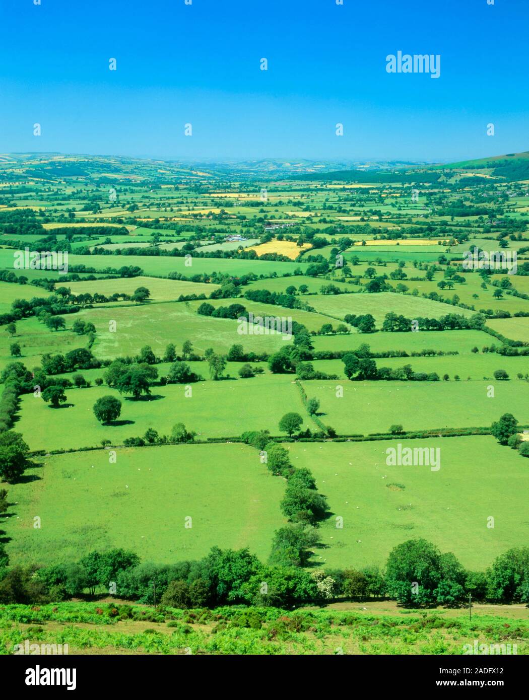 Mixed farmland. Patchwork of fields used for sheep grazing and the ...