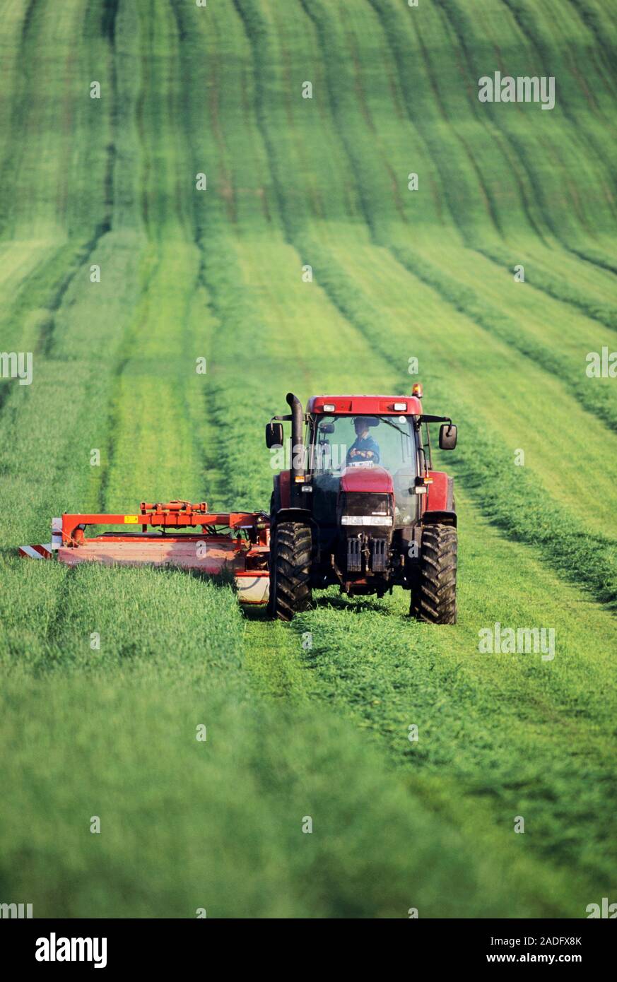 Tractor cutting grass for silage Stock Photo - Alamy