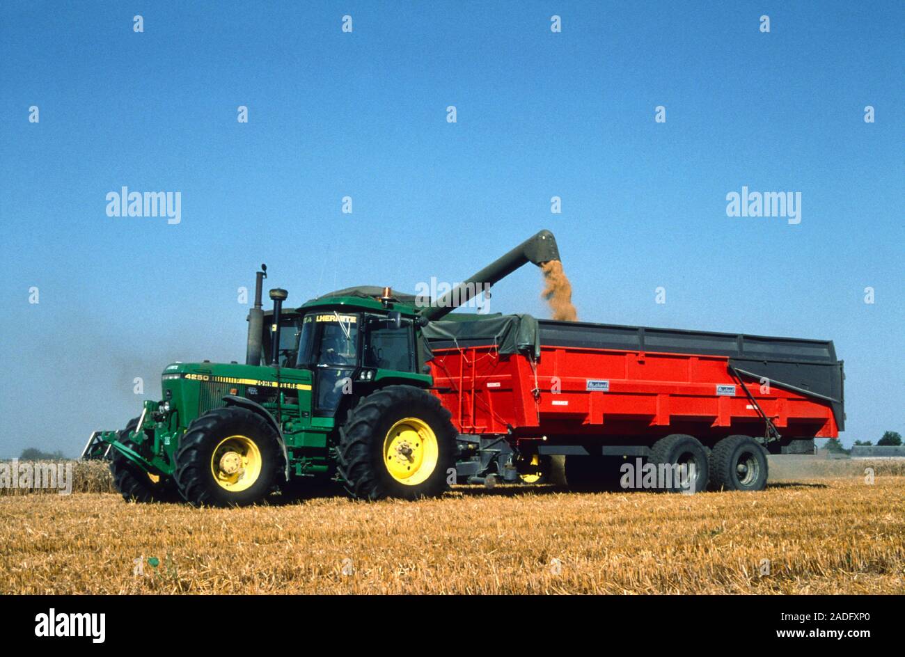 Harvesting maize. Tractor and combine harvester at work in a field of ...