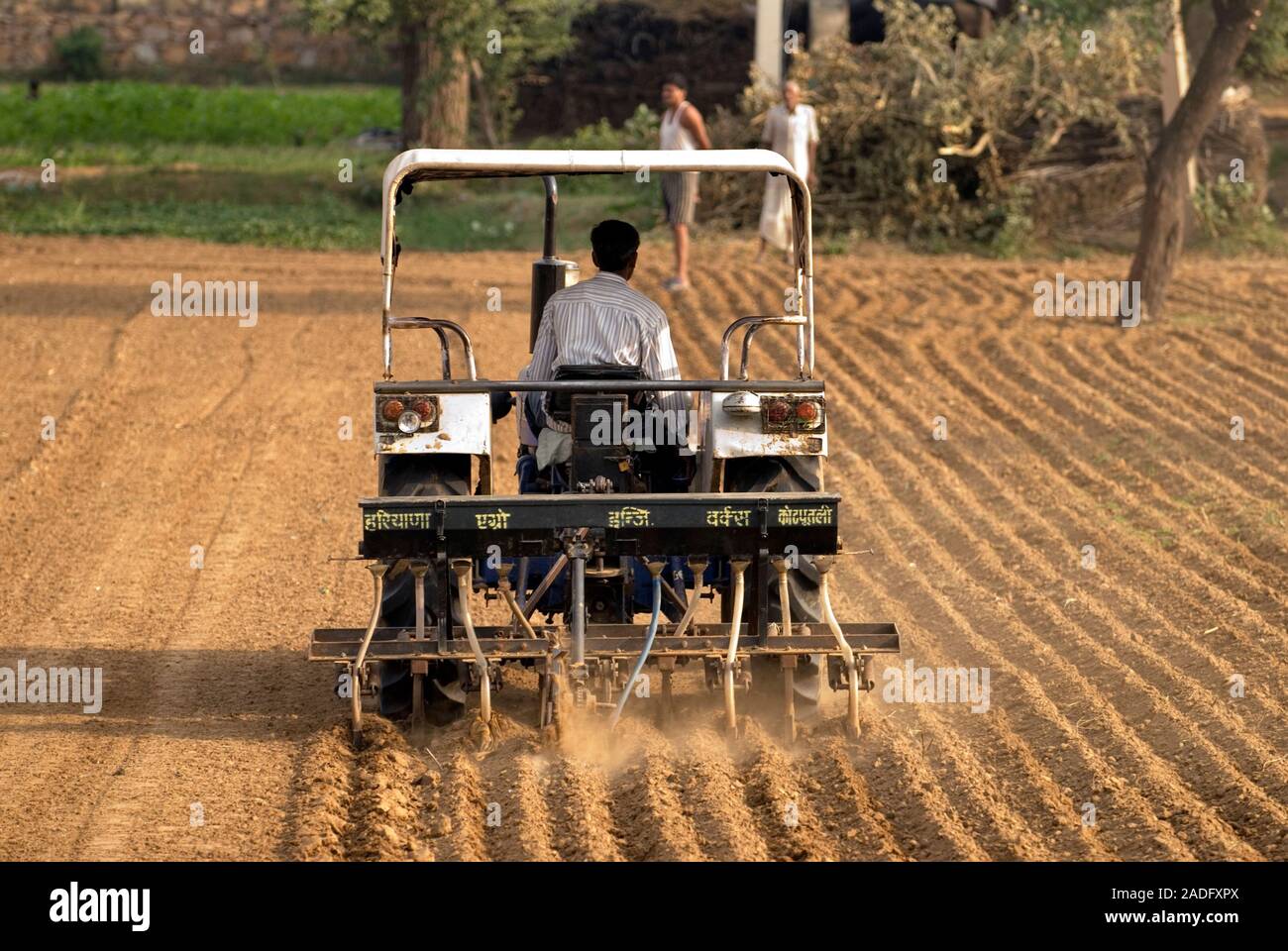 Farmer ploughing a field with a tractor. Photographed in Rajasthan ...