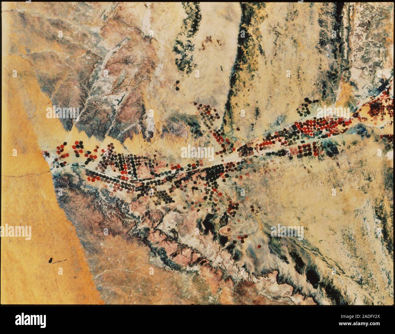 False-colour Landsat satellite image of circular, pivotally-irrigated ...
