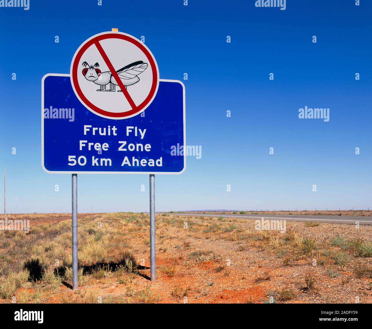 Fruit fly free zone". A road sign warning drivers not to carry fruit ...