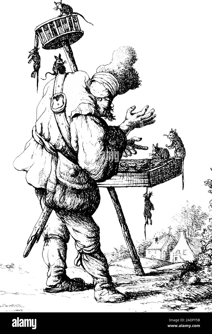 Rat-catcher. Historical artwork of a 17th century rat-catcher seen with ...