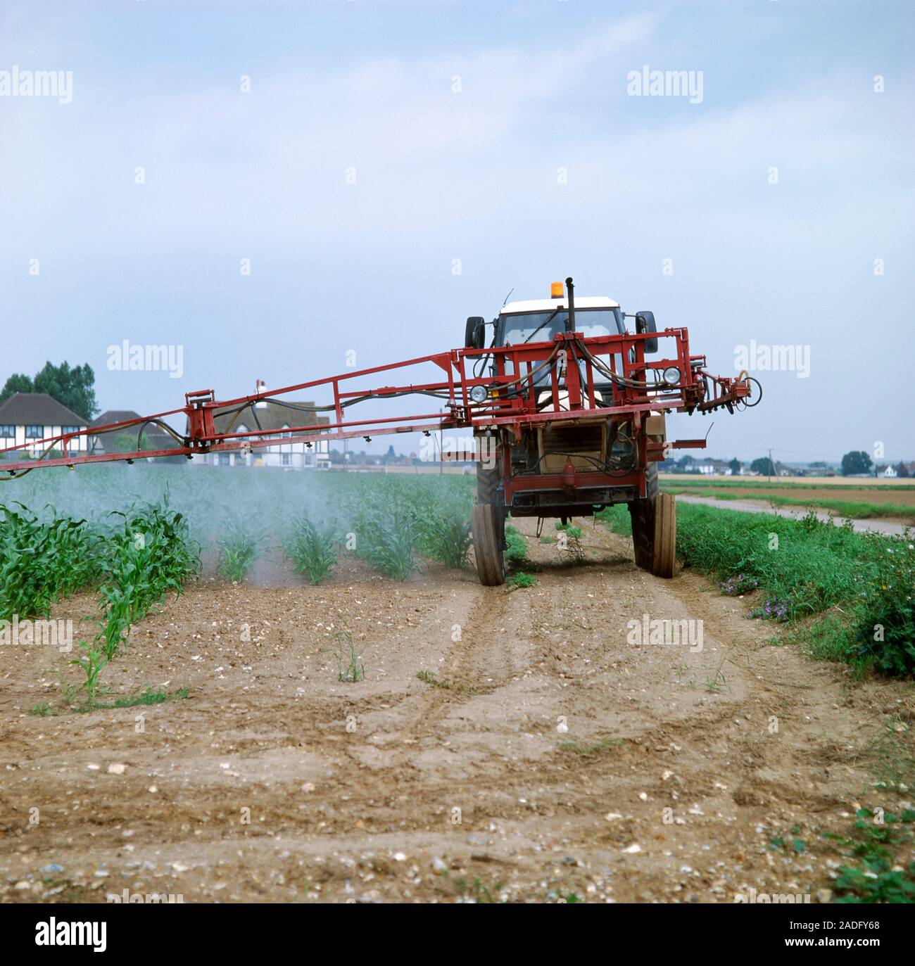 Crop spraying. Farm tractor being used to spray pesticide on crops ...