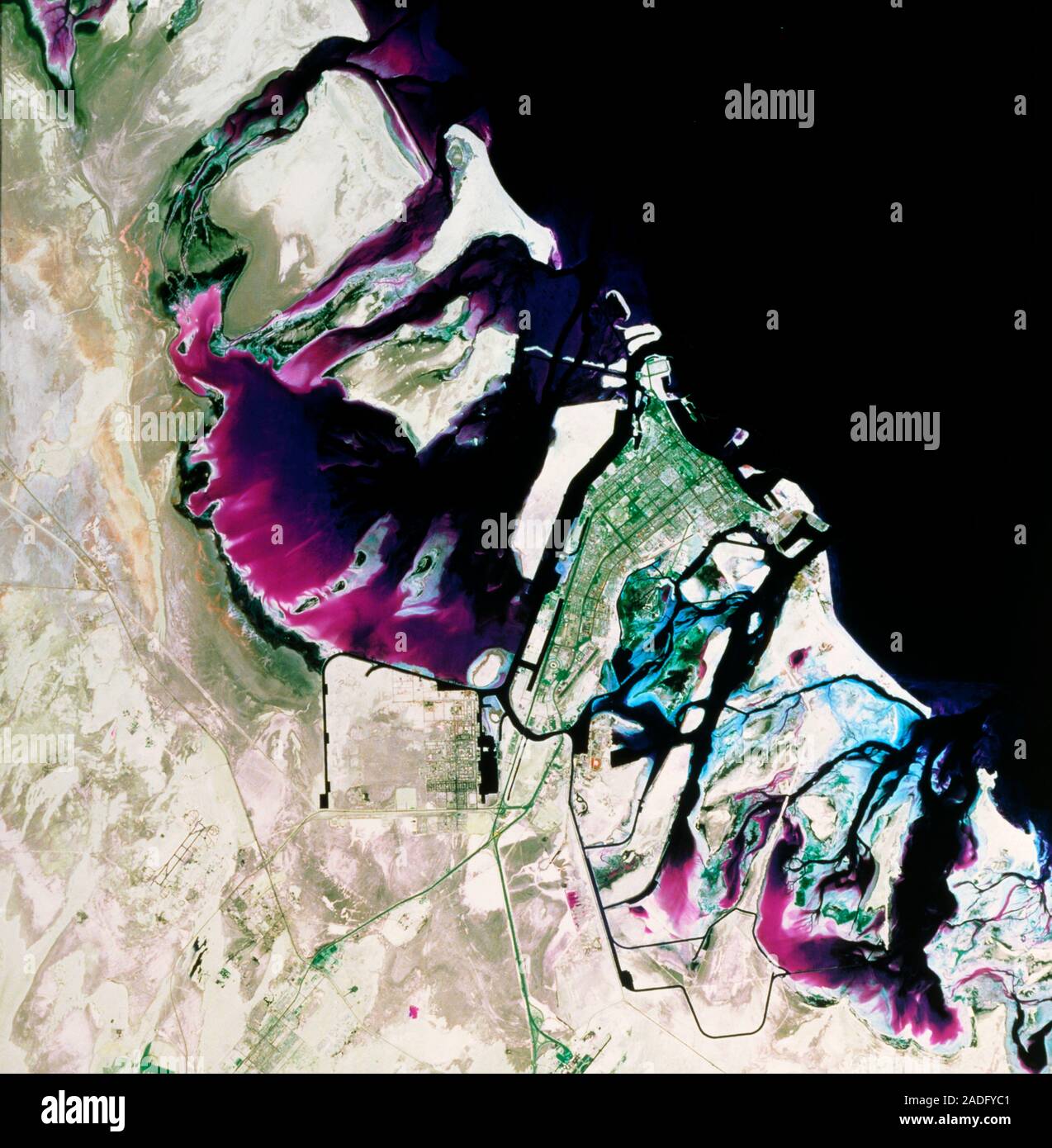 False-colour Landsat satellite image of Abu Dhabi showing land ...