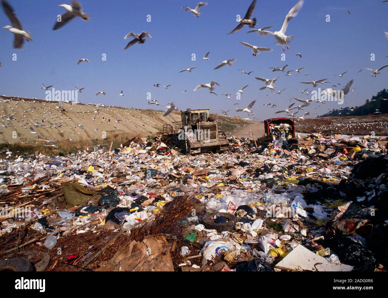 Waste disposal in a landfill. Landfill sites are used as a depository ...
