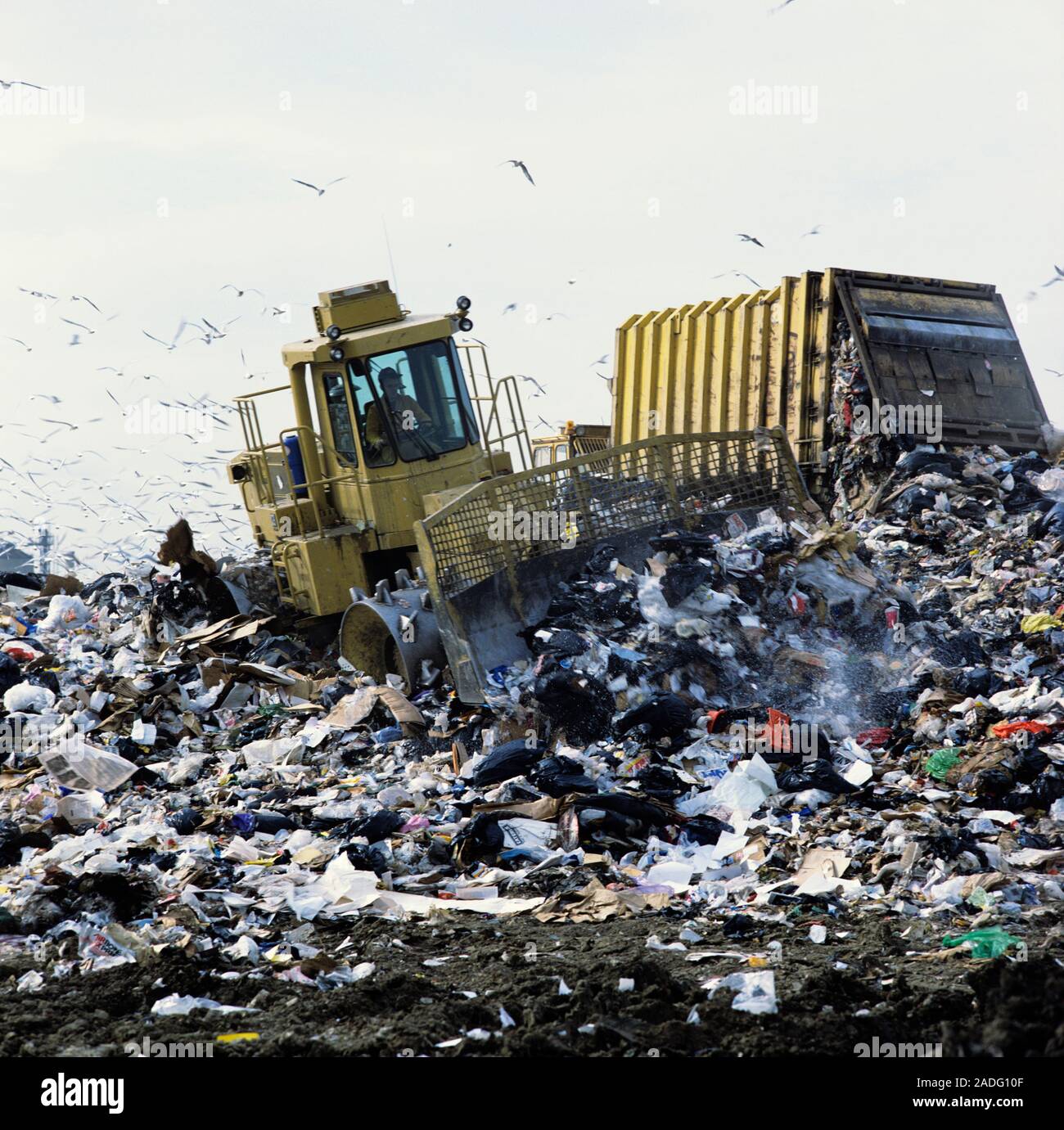 Landfill. Bulldozer moving waste at a landfill site at Rainham, Essex ...