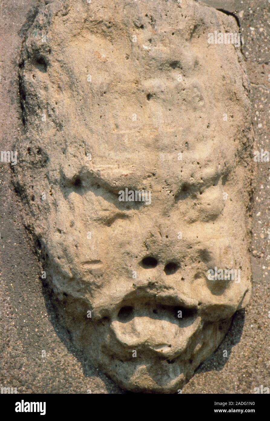 Acid Rain Weathering