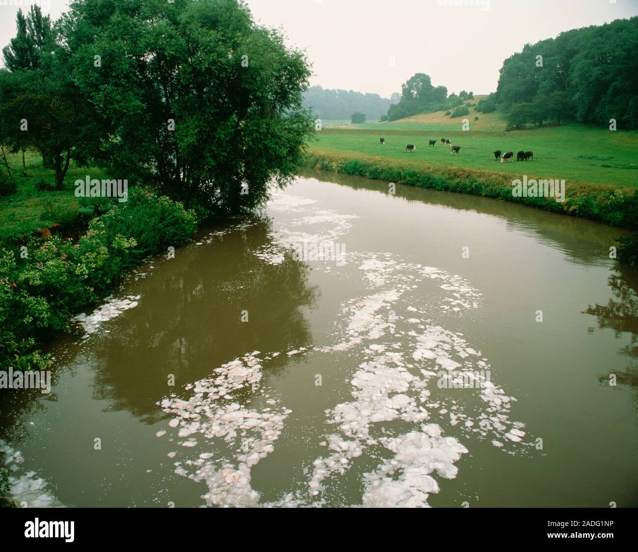 A polluted river - the river Don at Sprotbrough, near Doncaster, South ...