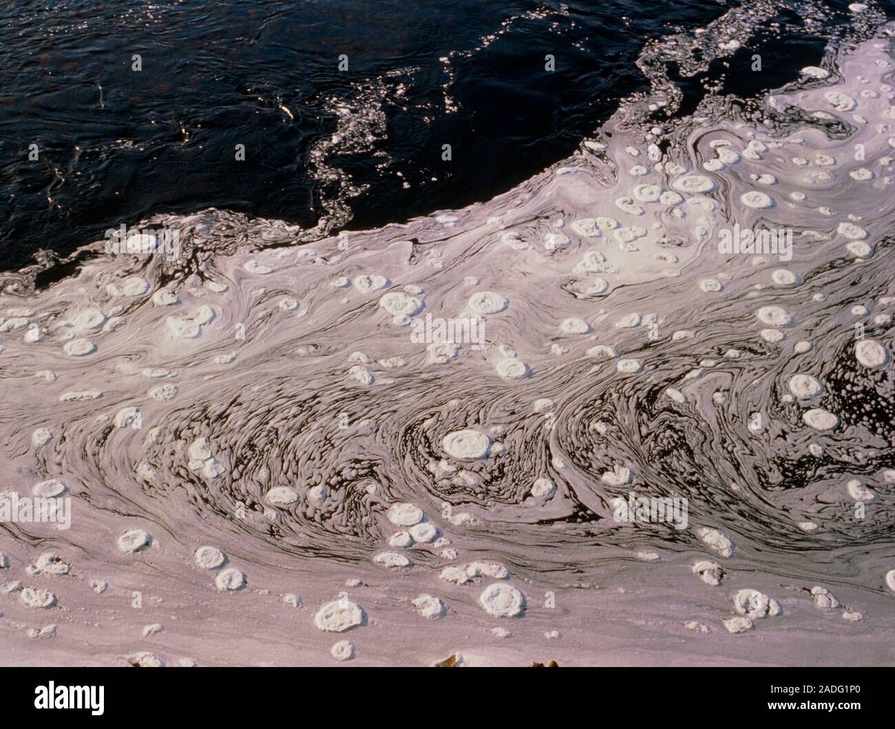 River pollution. Close-up of scum caused by pollution in the South Tyne ...