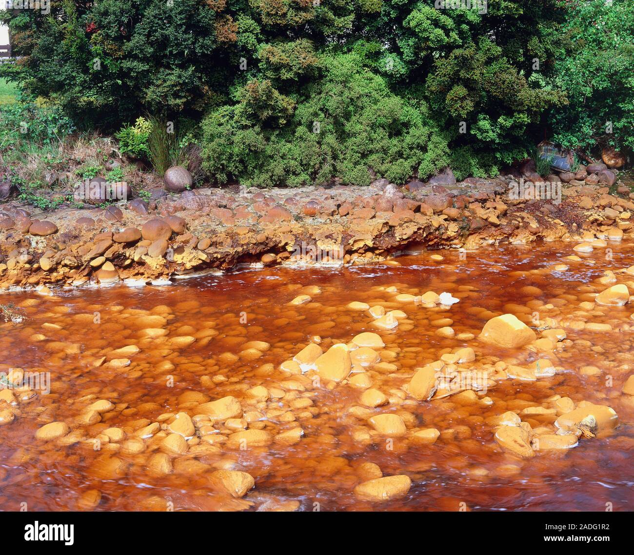 River pollution. Discoloured, polluted water of the Queen River in ...