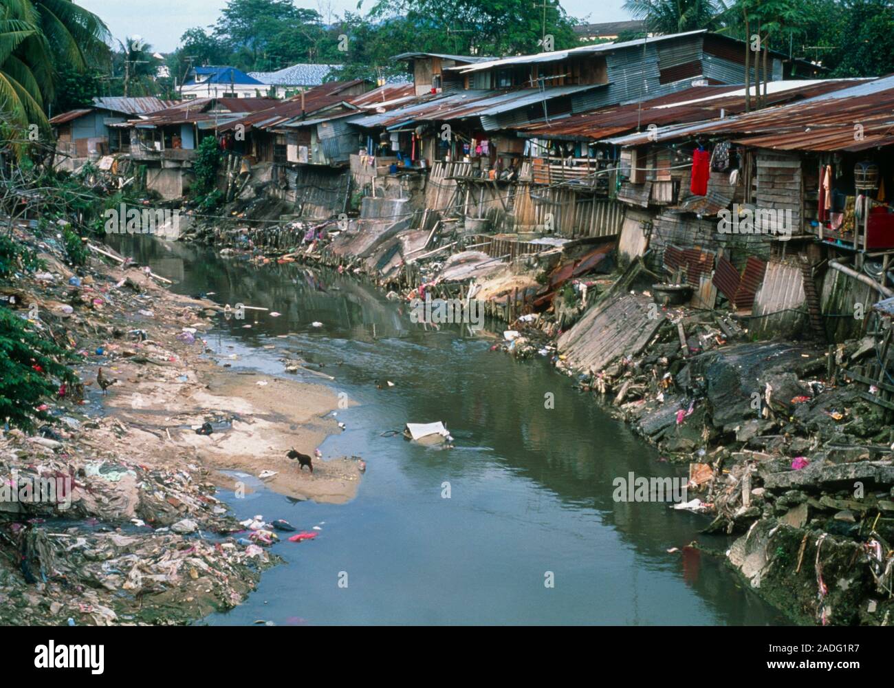River pollution. View of a polluted river running through a slum ...