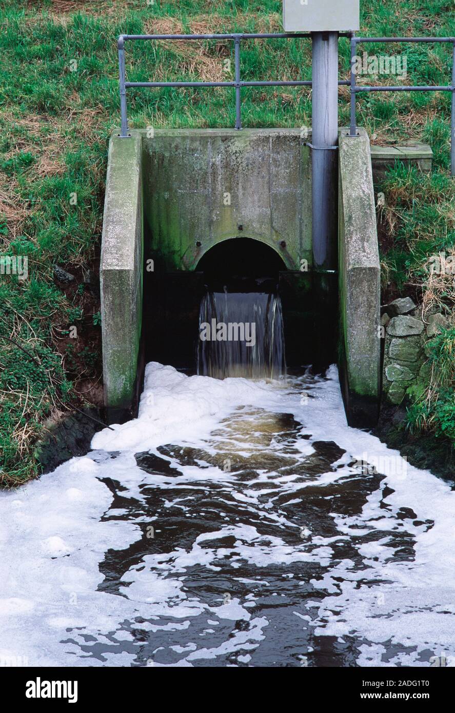 Sewage outflow. Outflow from a sewage works. Photographed in ...