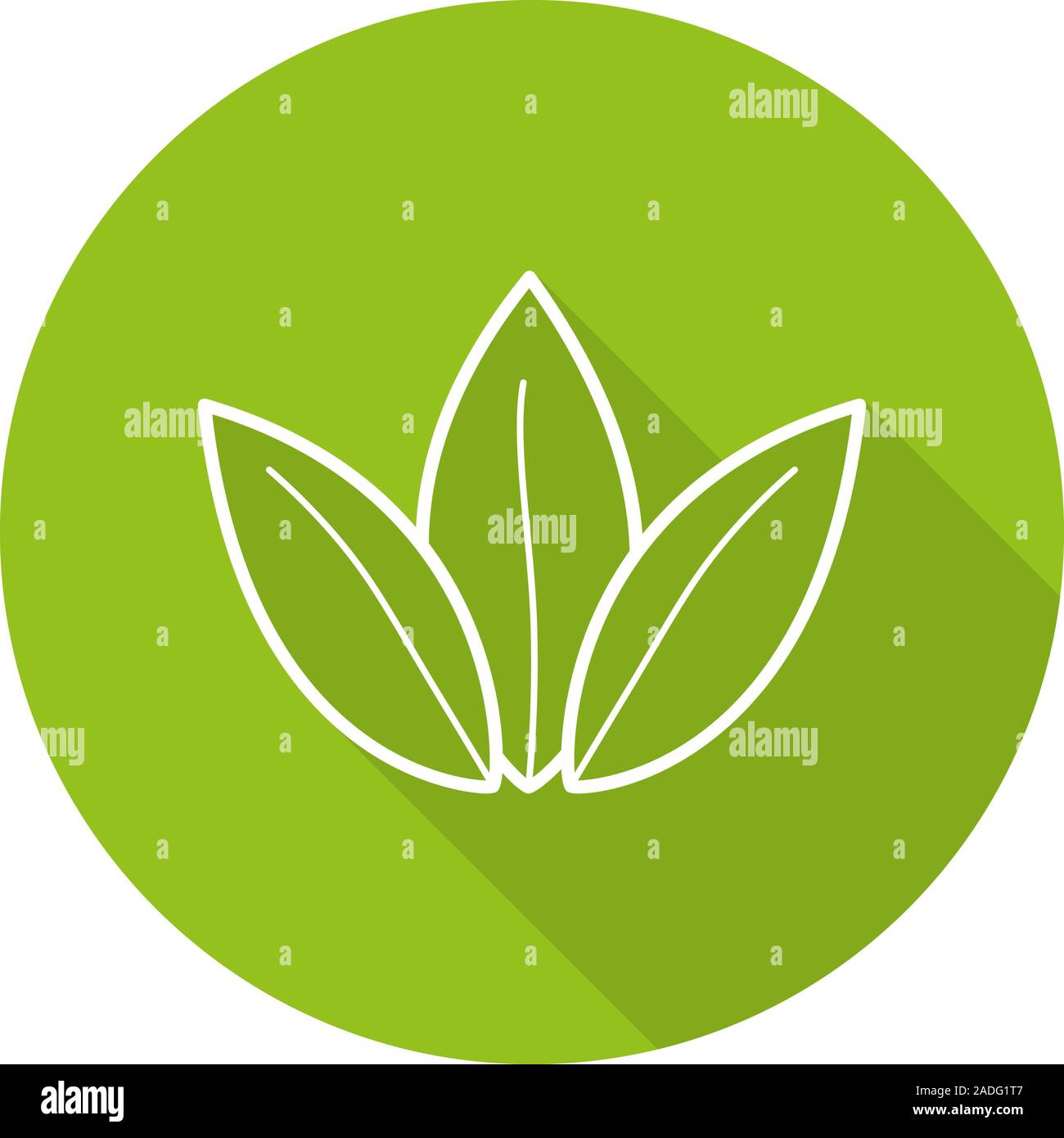 Tea leaves flat linear long shadow icon. Herbal medicine. Green tea ...