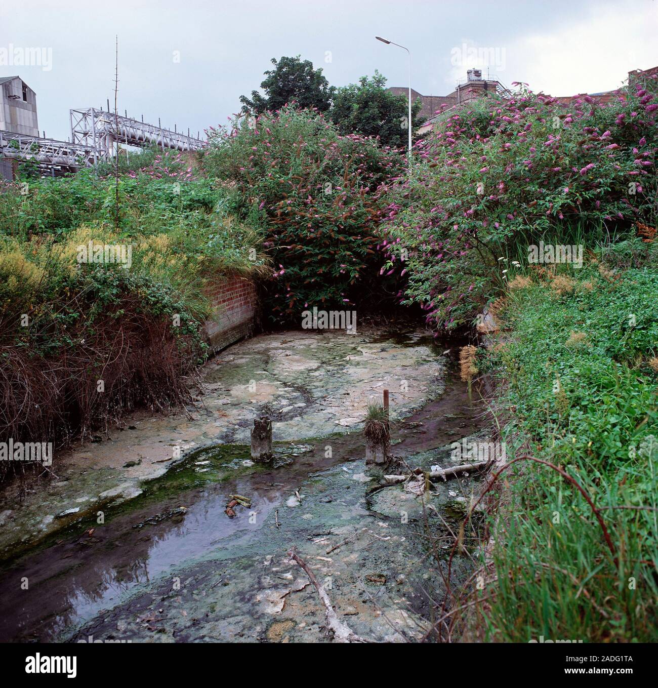 Industrial water pollution. Stream polluted with sewage and industrial ...