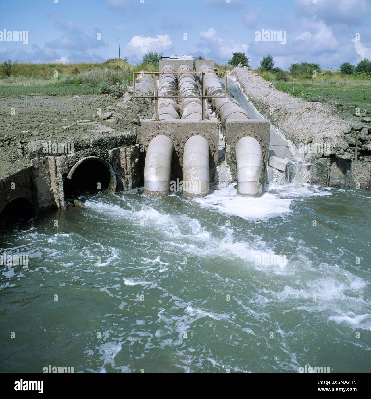 Industrial water pollution. Outflow pipes from a paper mill ...