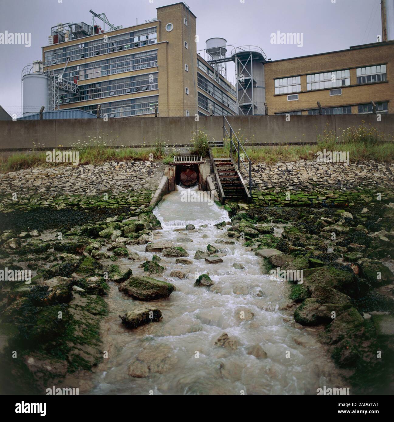 River pollution. Industrial effluent from a detergent factory flowing into the River Thames ...