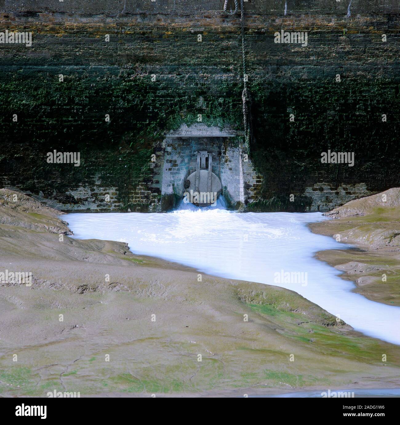 Industrial water pollution. Outflow pipe from a paper mill, discharging ...