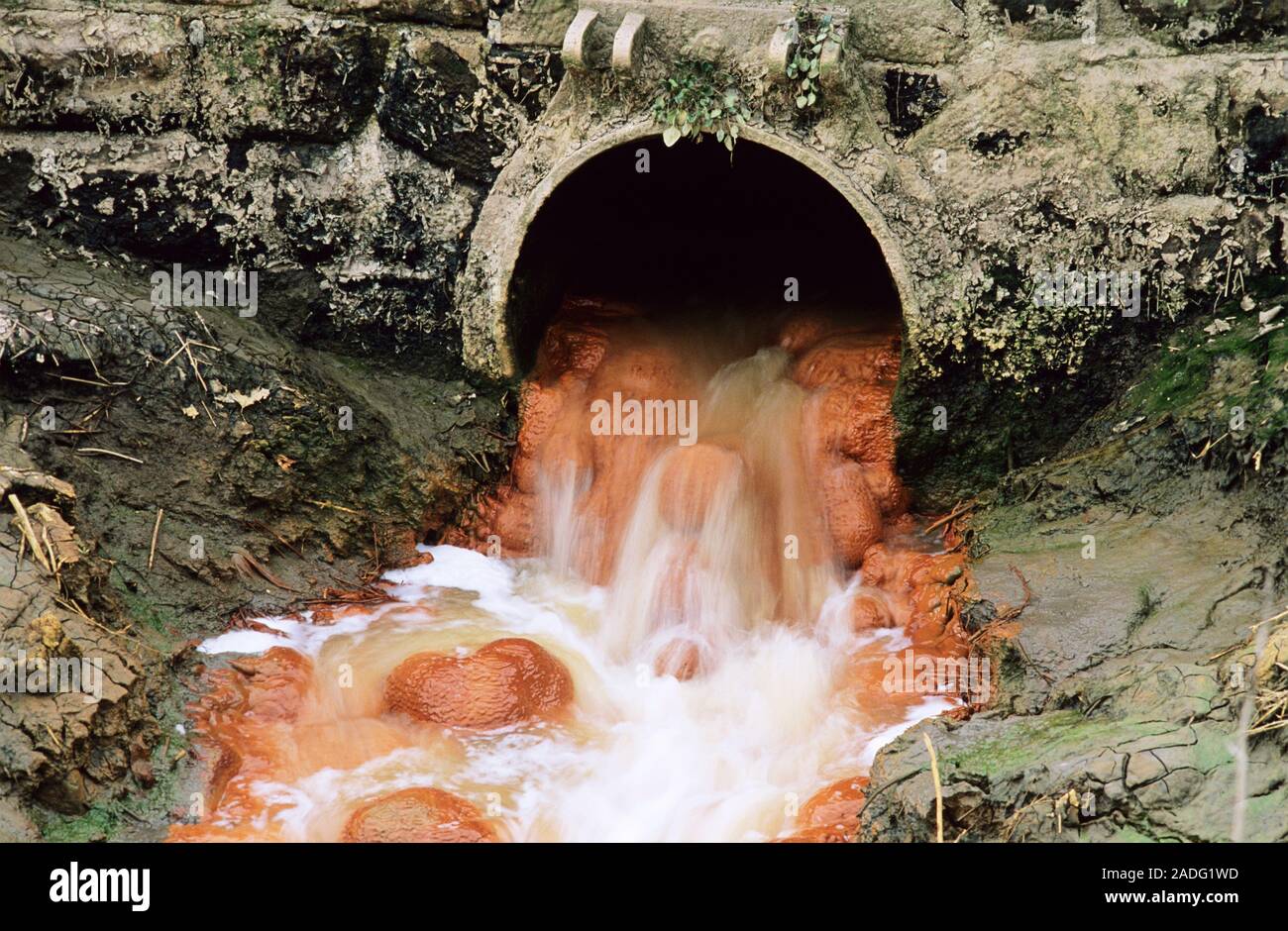 Water pollution. Outflow pipe carrying effluent from a chemical plant ...