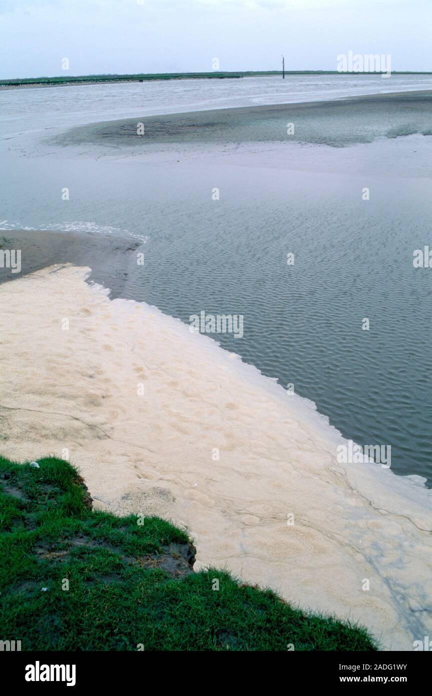 River pollution on the River Ribble. This part of the river is near to ...