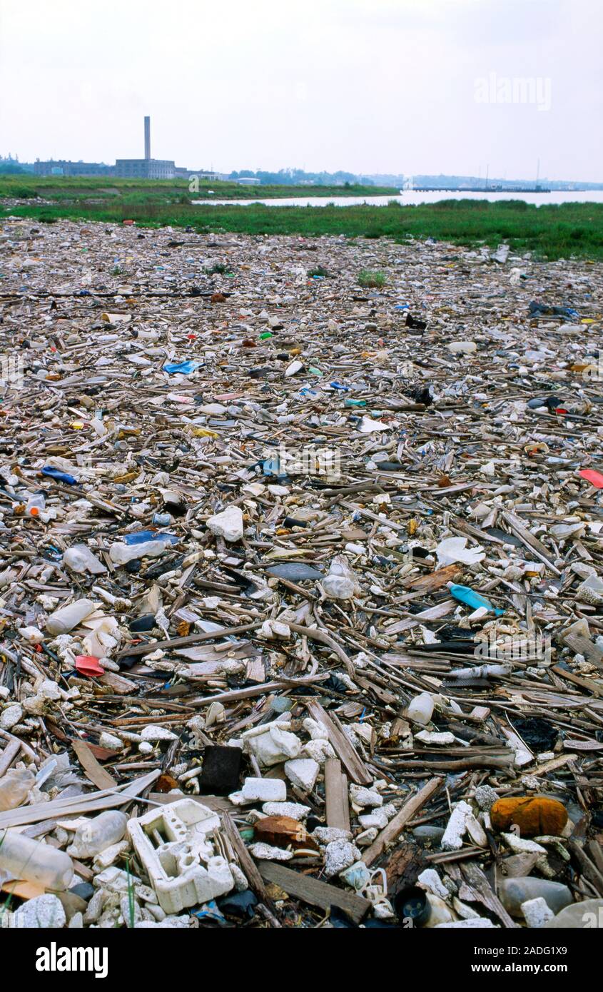 Washed-up rubbish. Large amount of rubbish washed up on the banks of ...