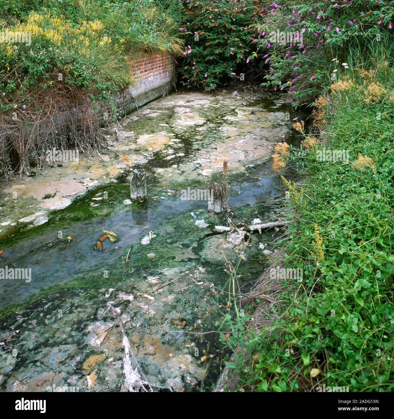 Polluted stream. Stream polluted with organic chemicals and litter ...