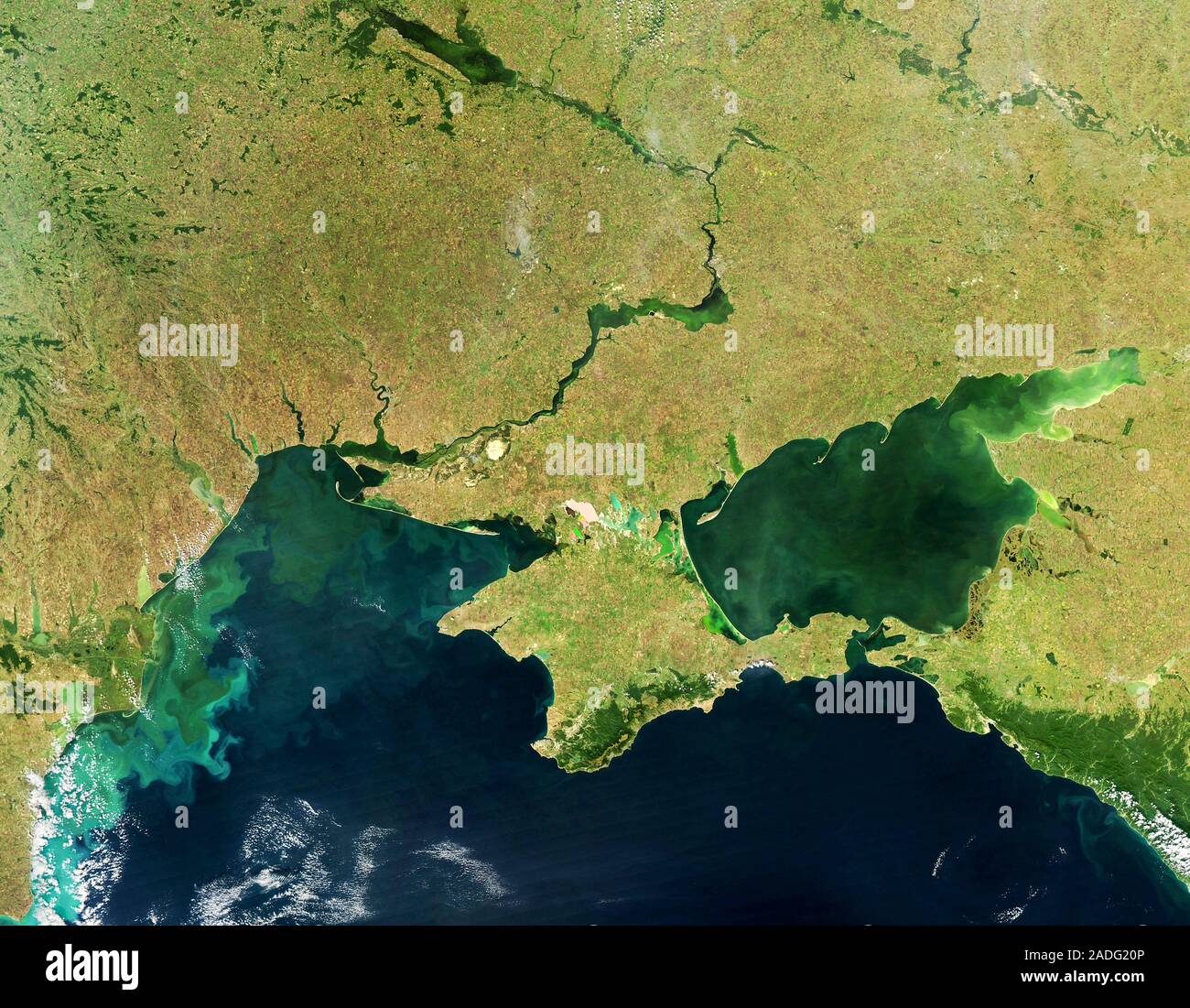 Phytoplankton blooms in the Black Sea, satellite image. North is at top. Water is blue ...