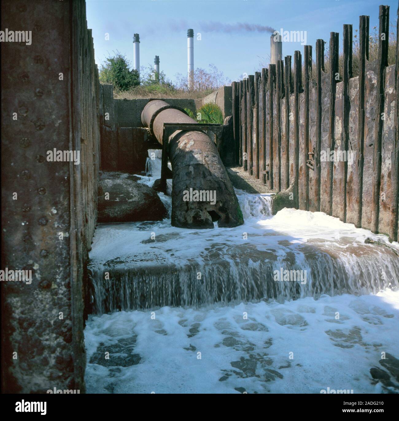 Industrial pollution. Outflow pipe from a paper mill discharging ...