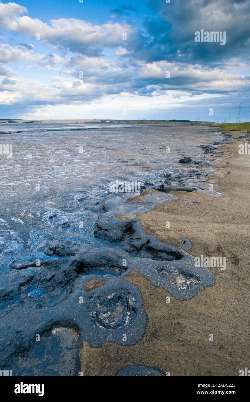 Oil industry pollution. Tailings settling pond with residual crude oil ...