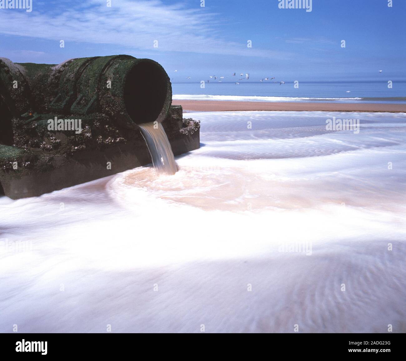 Sea pollution. Outlet pipe discharges sewage onto a North Sea beach ...
