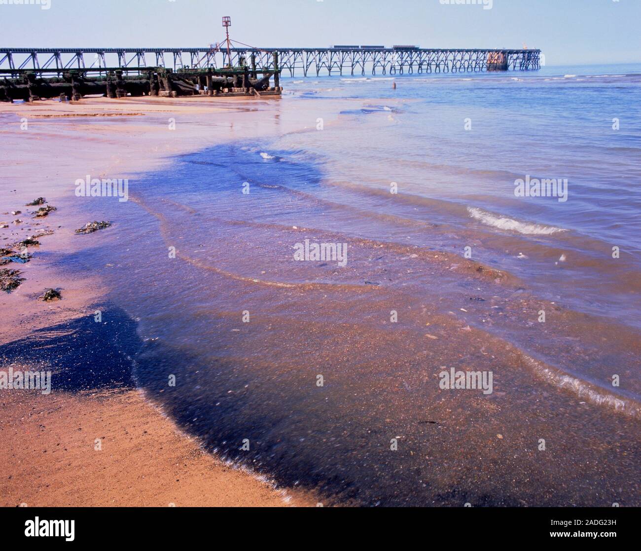 Sea pollution. A North Sea beach polluted with raw sewage, seen ...